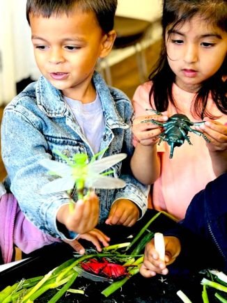 How Circle Time Boosts Communication and Social Skills at WMB Childcare ...